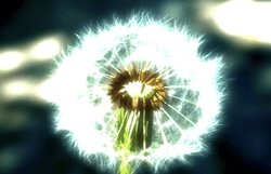 Divine Embodiment – The Embodied Present Process