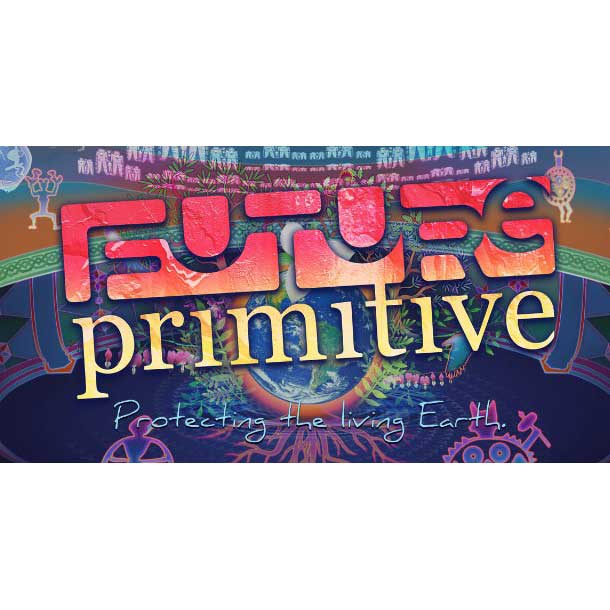 Interviews with Joanna Harcourt-Smith – The Embodied Present Process