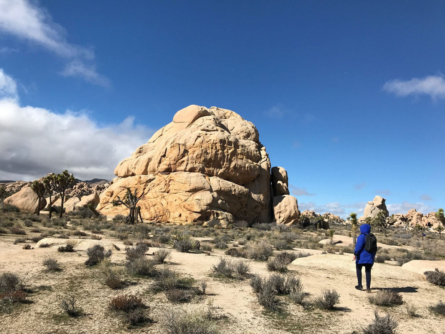 Blog – The Embodied Present Process