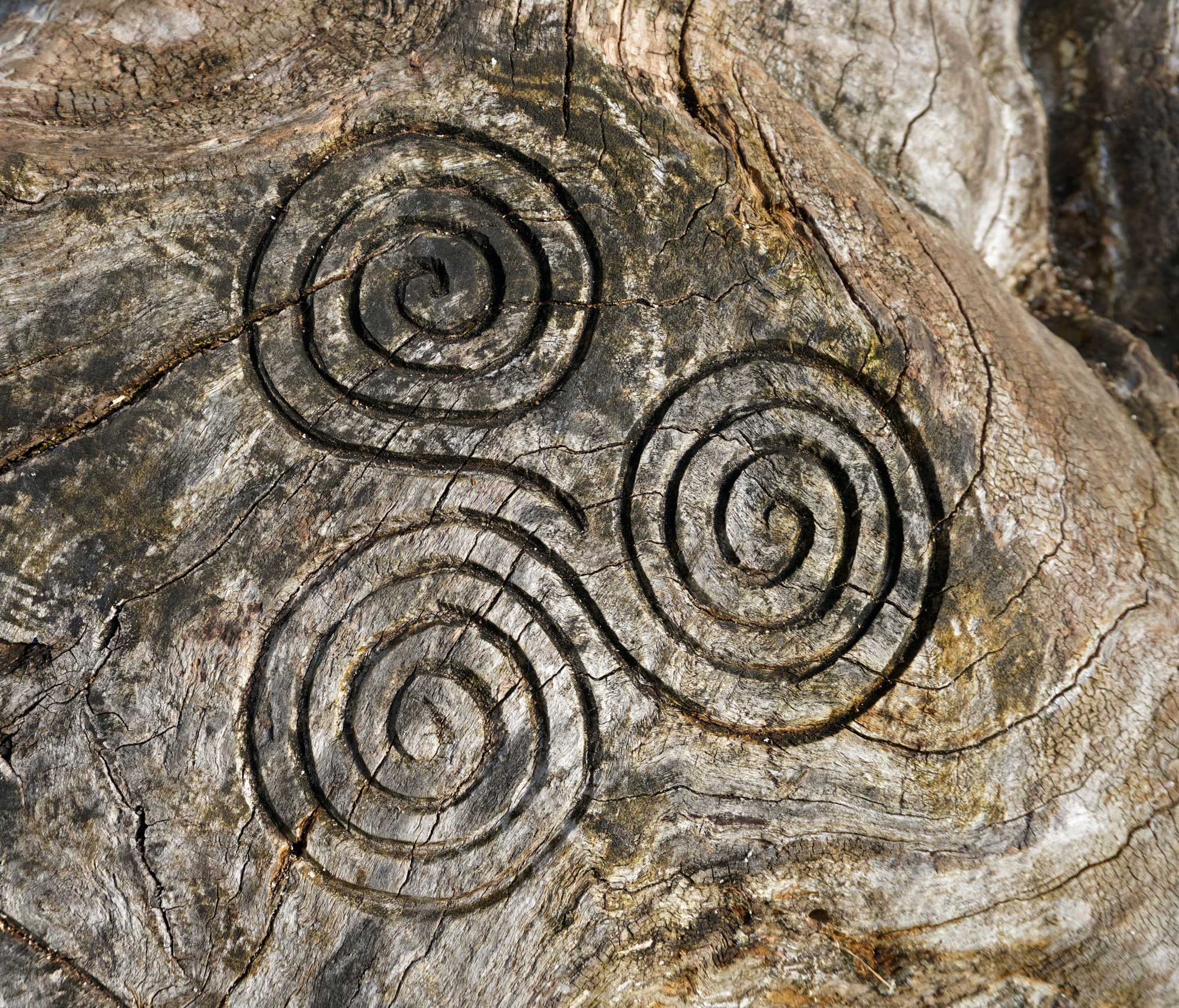 Spirit Matters Podcast – The Embodied Present Process