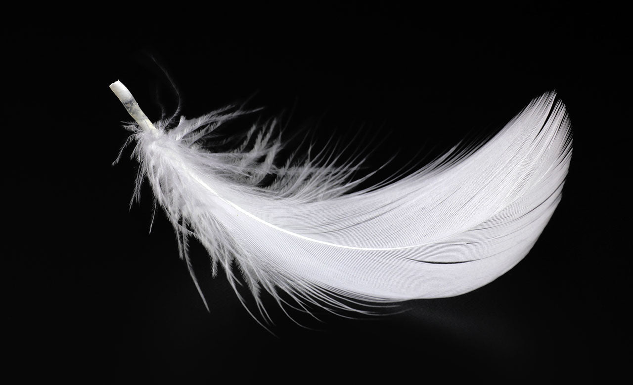 Radical Wholeness - Book – The Embodied Present Process