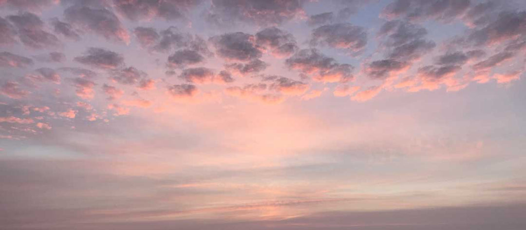 Radical Wholeness - self-help book by Philip Shepherd – The Embodied Present Process