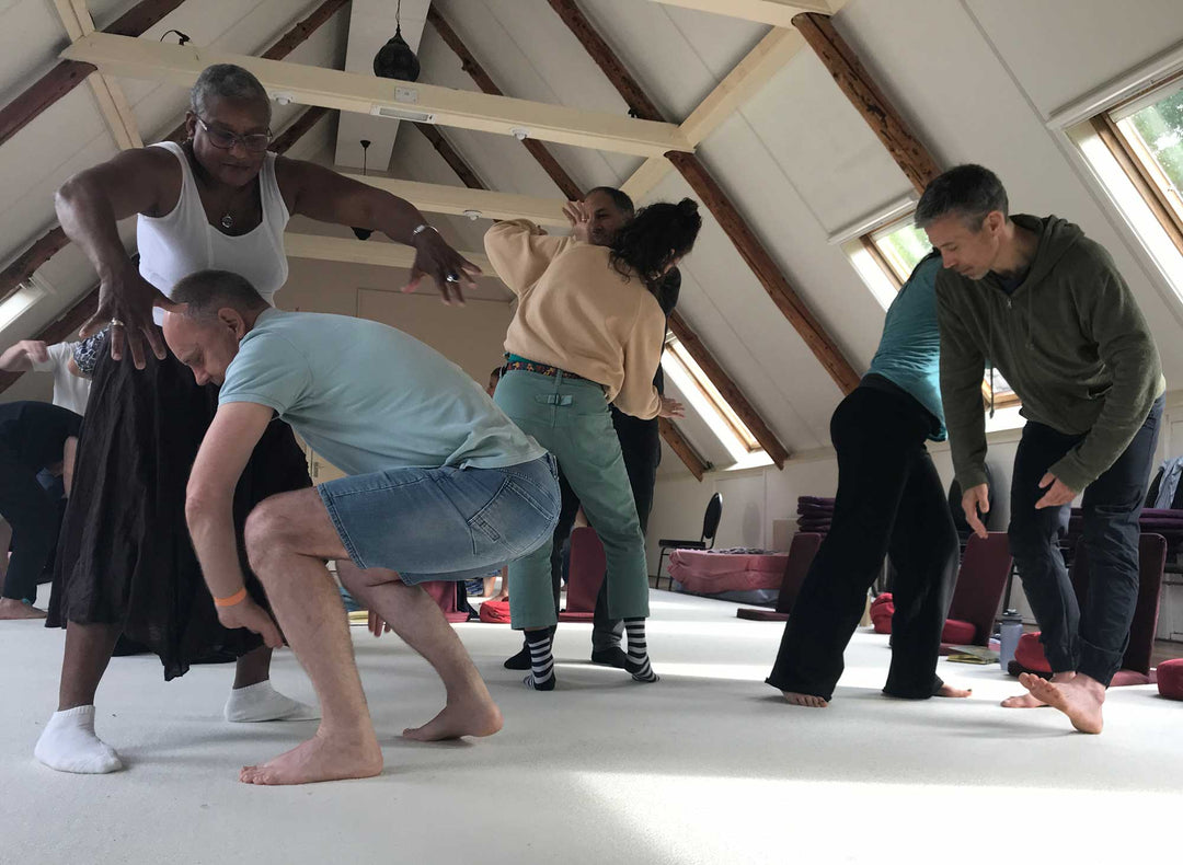 About The Embodied Present Process (TEPP)